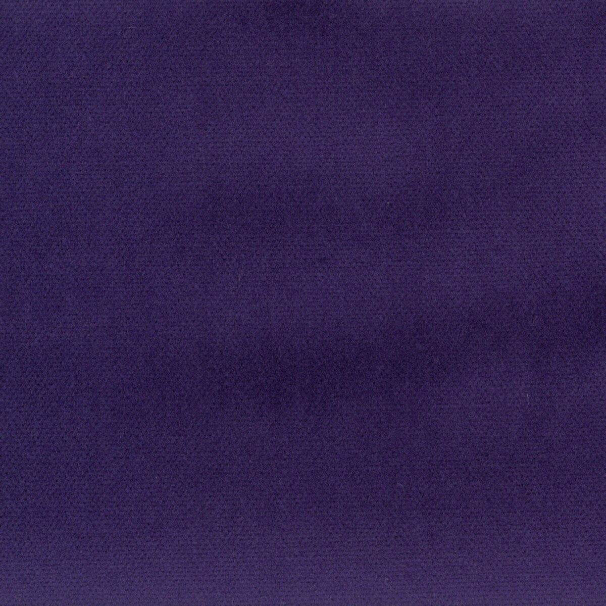 Bower Fine Velvet Violet Blazer | Alton Lane